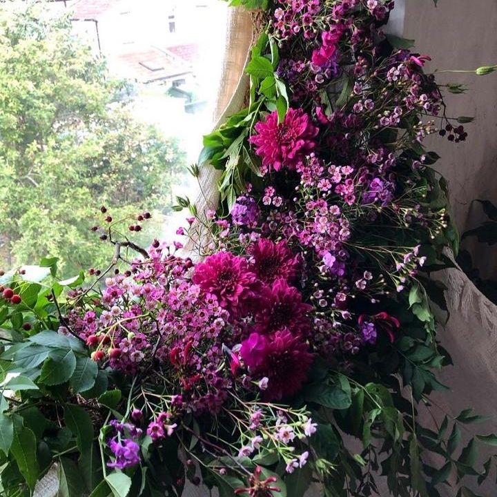 Poppy Gardner Flowers