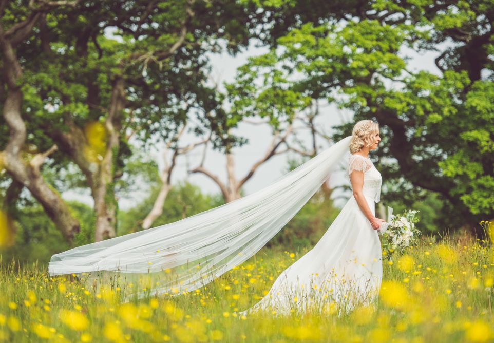 Stephanie Allin 'Lottie' | Elegant Botanical Wedding | Oldwalls Gower ...