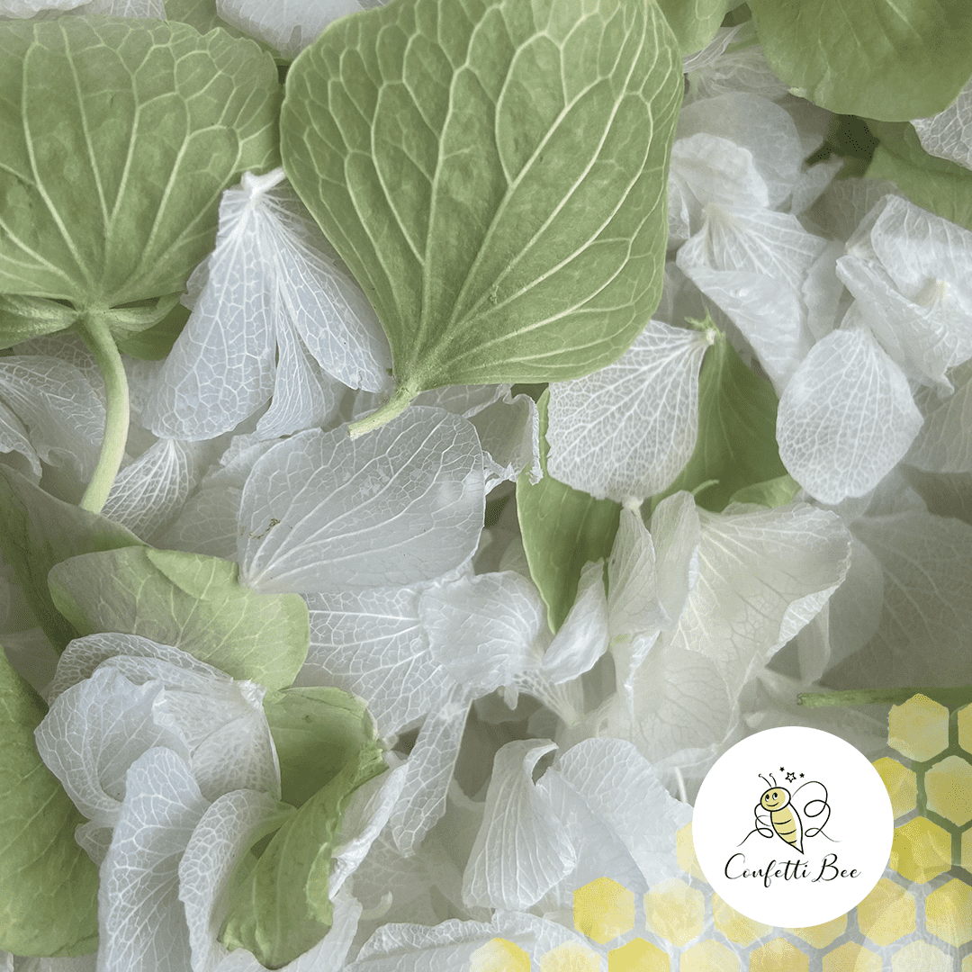 Wedding Venues and Wedding Suppliers