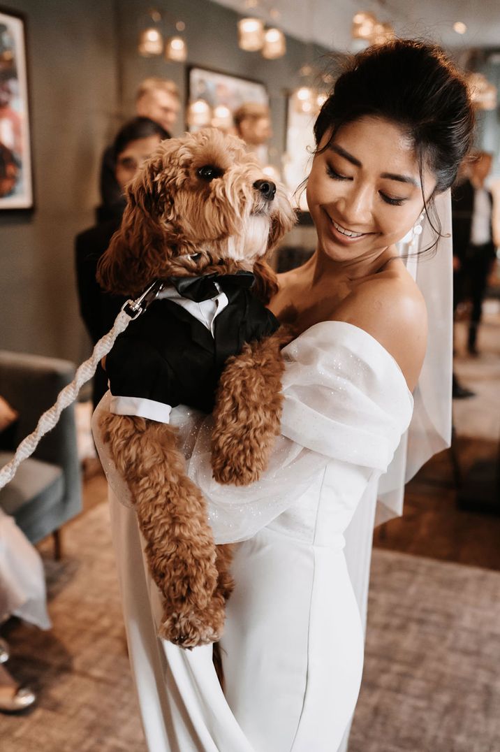 The Loveliest Pets At Wedding: Creative Ways to Include Your Furry Friends
