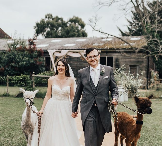 Alpaca Wedding Guests & Watters Bride Dress at Rustic Farm Wedding