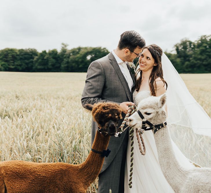 Alpaca Wedding Guests & Watters Bride Dress at Rustic Farm Wedding